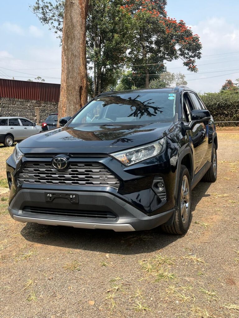 2019 TOYOTA RAV4 GZ Package – Gaikei 88 Motors